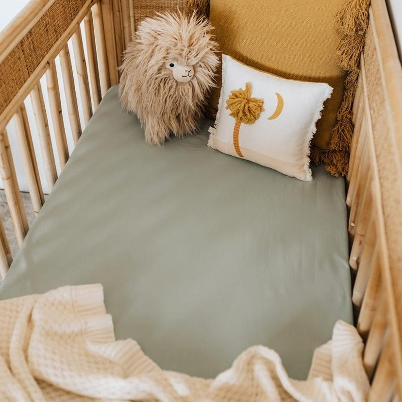 What's New | Angus & Dudley – Angus & Dudley Collections